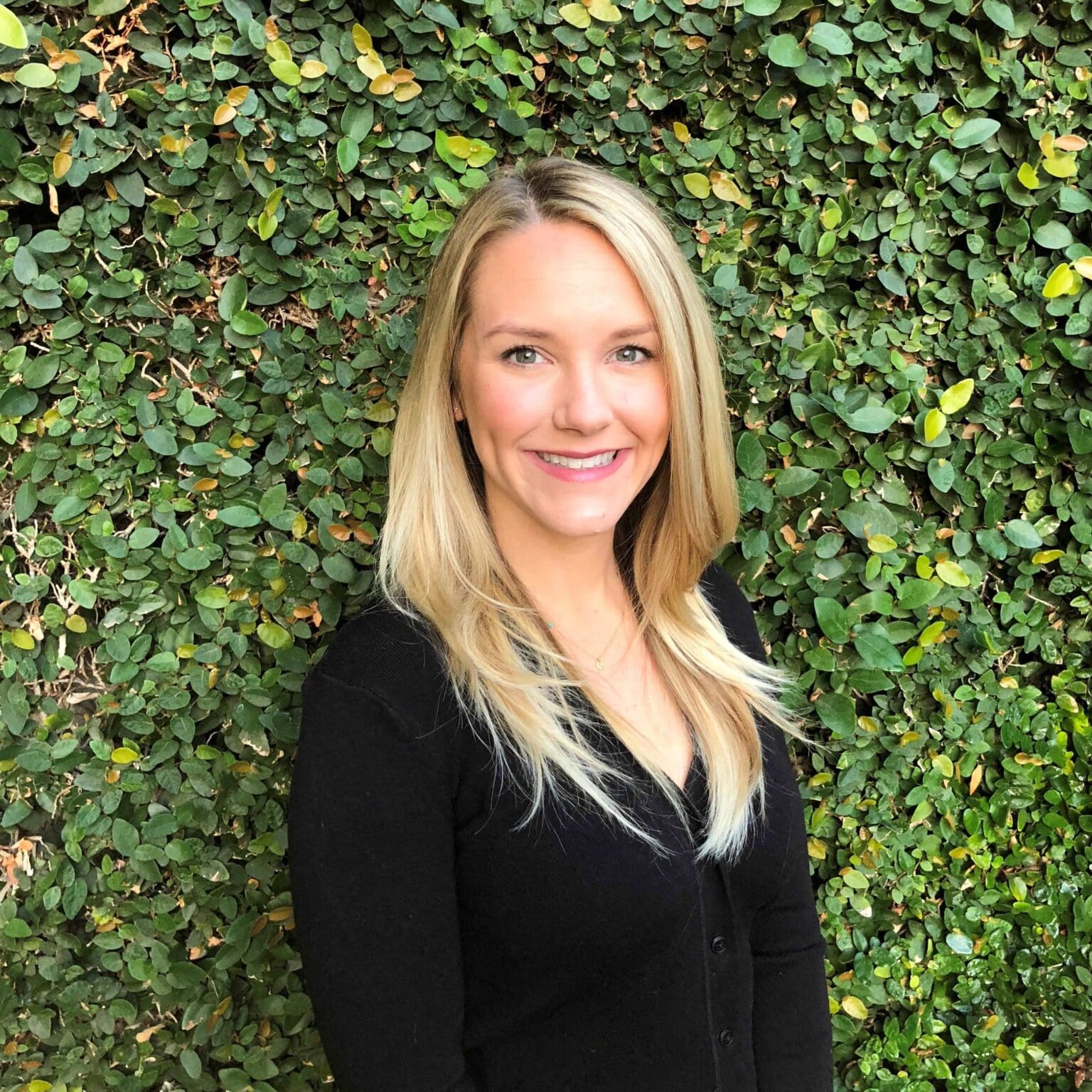 CHPSO Safe Table Forum - Bridging the Gap from Hospital to Community ...